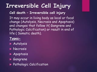 Cell injury-I Overview of cellular necrosis | PPTX
