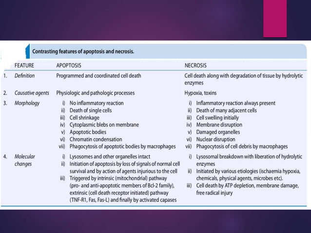 Cell injury-I Overview of cellular necrosis | PPTX