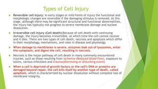 Cell injury | PPTX | Chemistry | Science