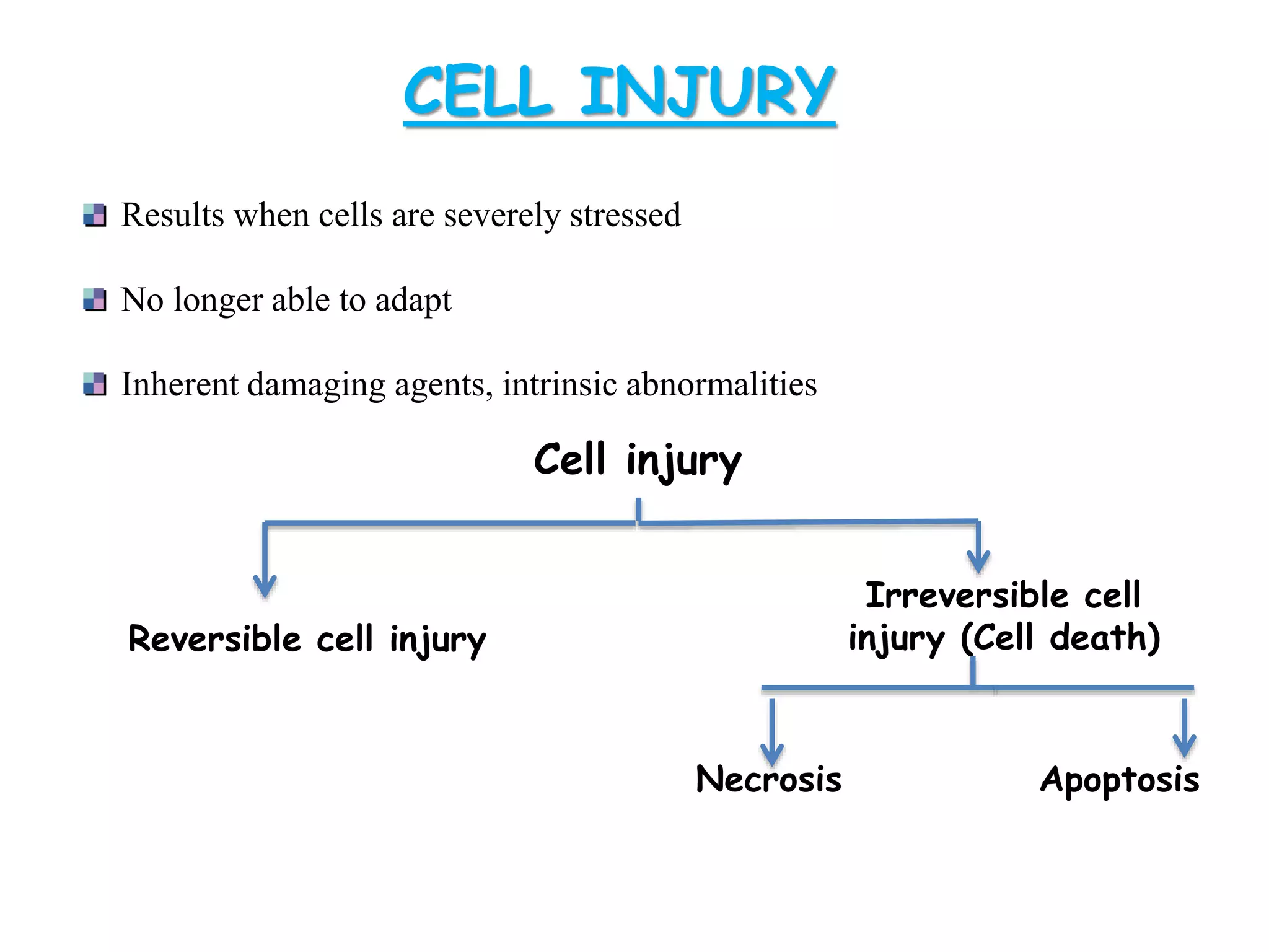 Cell injury - mechanism | PPTX | Chemistry | Science