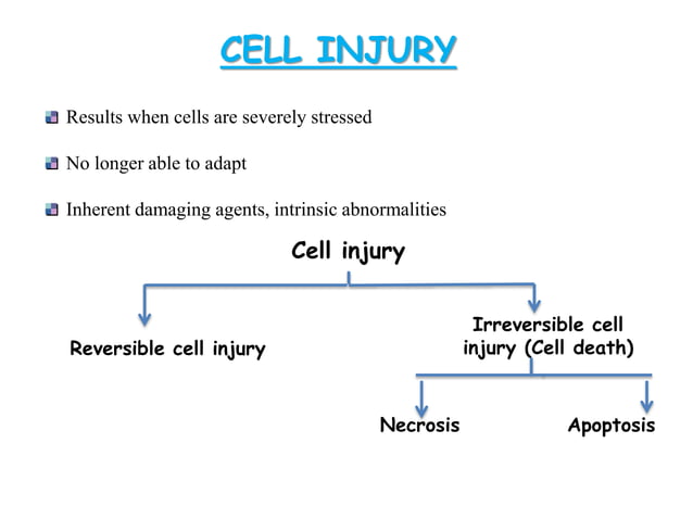 Cell injury - mechanism | PPTX | Chemistry | Science