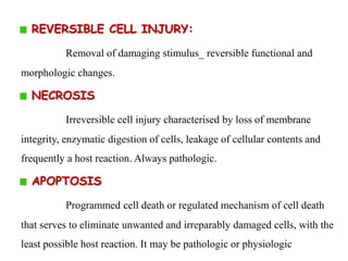 Cell injury - mechanism | PPTX | Chemistry | Science