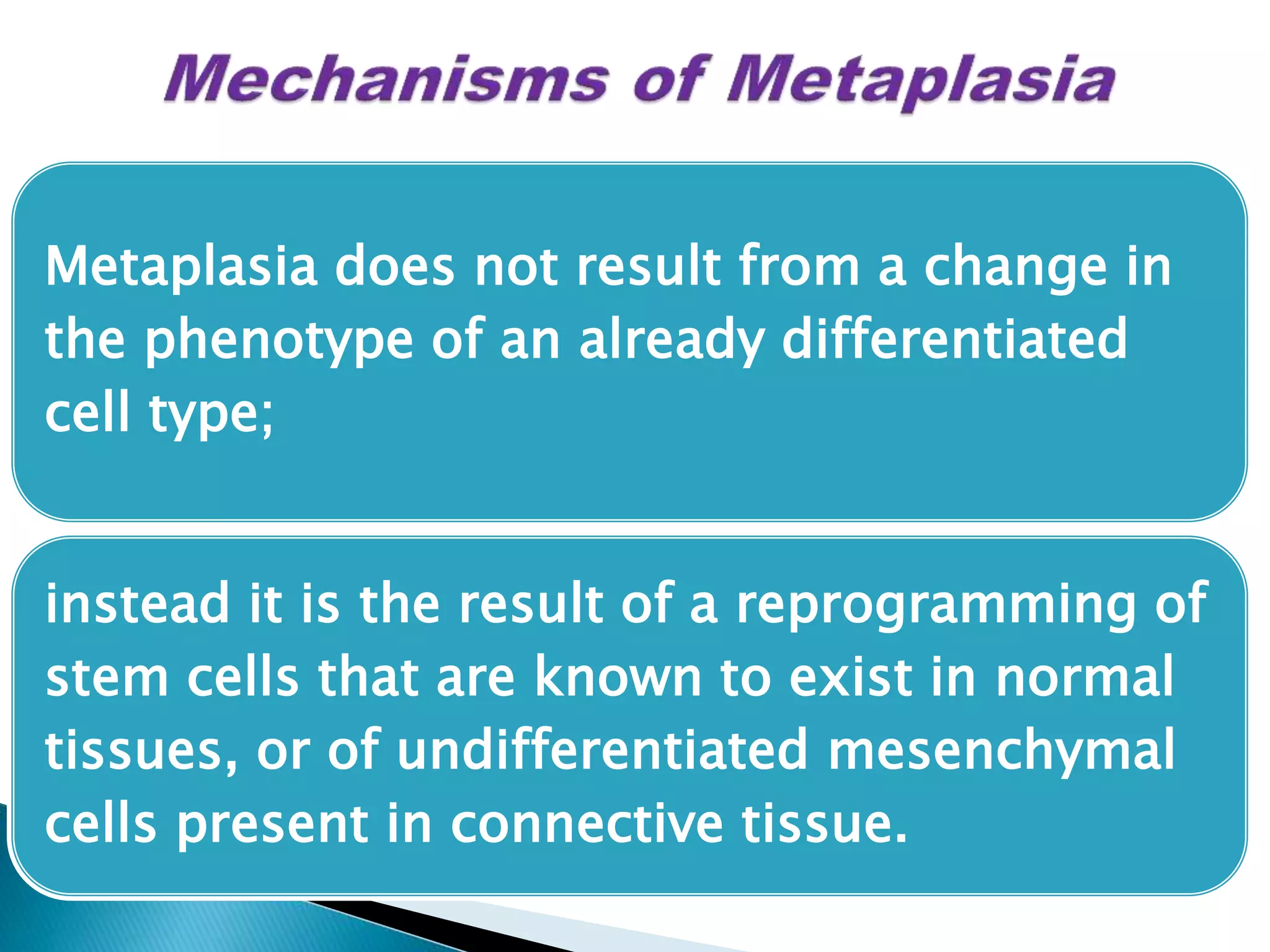 Cell injury metaplasia l autosaved] | PPTX