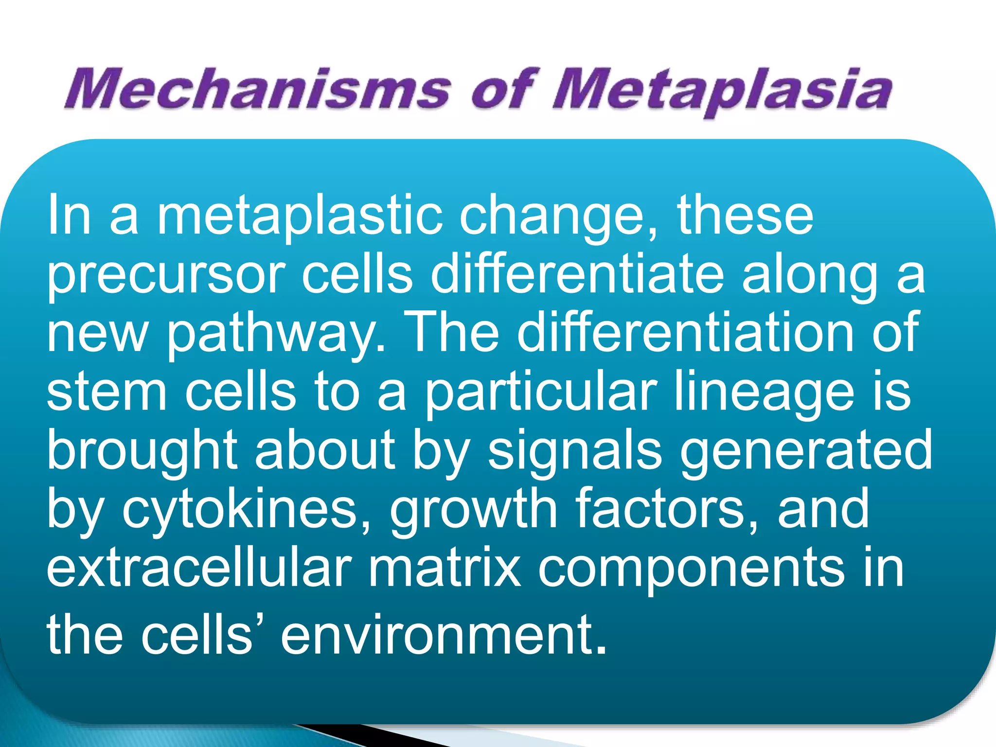 Cell injury metaplasia l autosaved] | PPTX