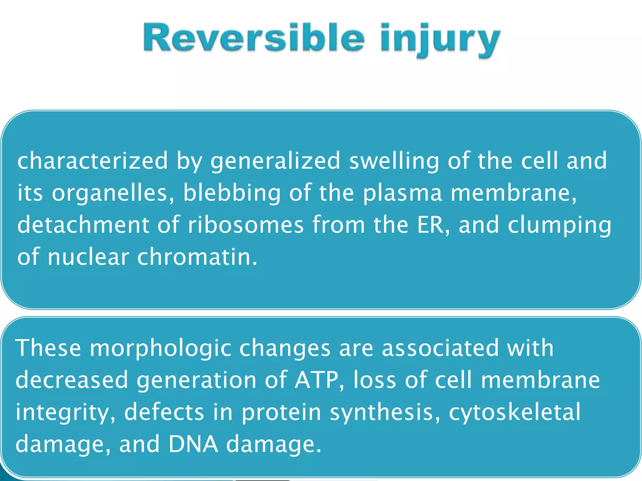 Cell injury metaplasia l autosaved] | PPTX