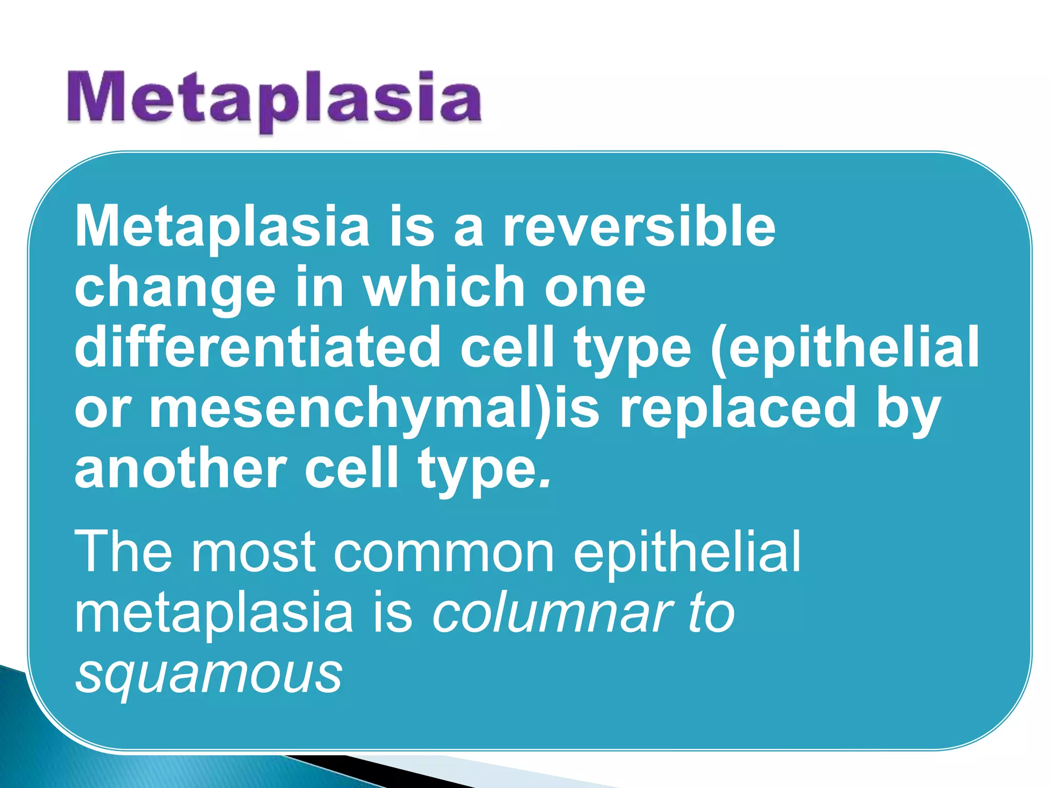 Cell injury metaplasia l autosaved] | PPTX
