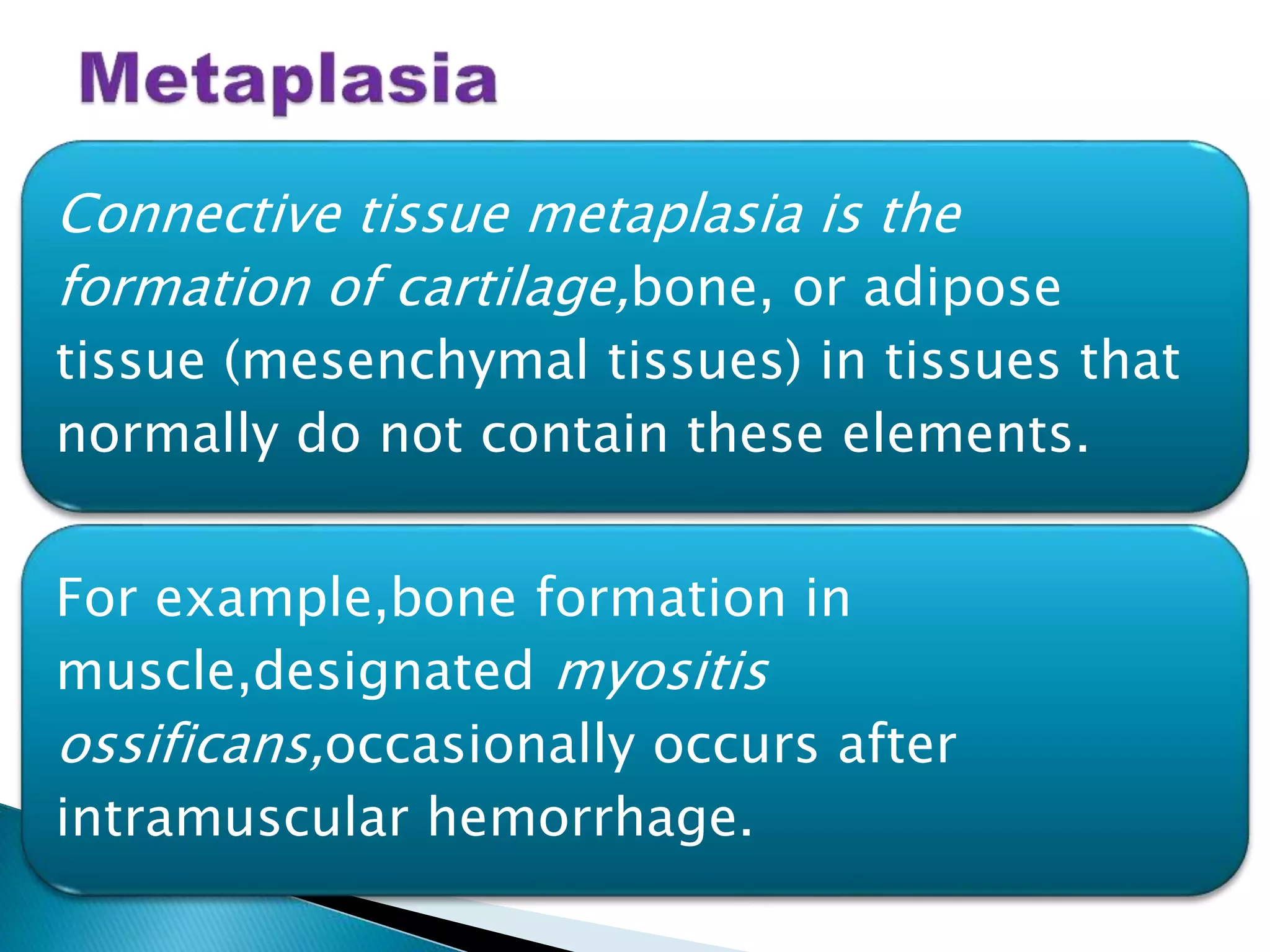 Cell injury metaplasia l autosaved] | PPTX