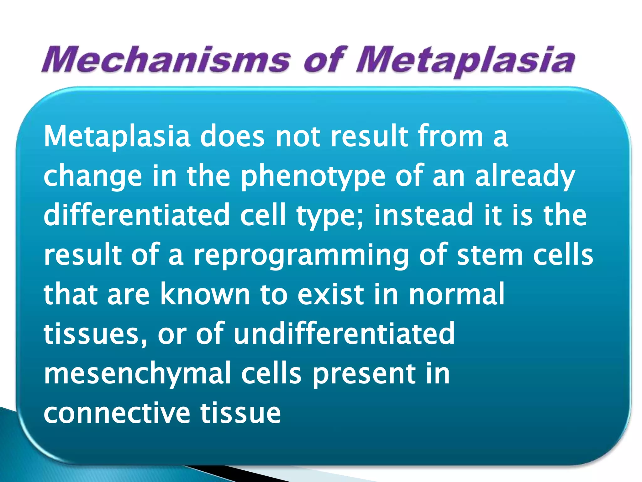 Cell injury metaplasia l autosaved] | PPTX