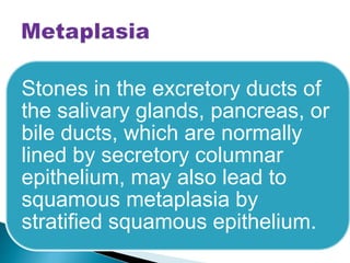 Cell injury metaplasia l autosaved] | PPT