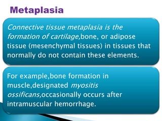 Cell injury metaplasia l autosaved] | PPT