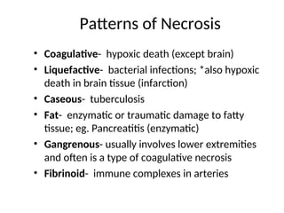 Cell injury-necrosis.ppt,types of necrosis, morphology | PPT