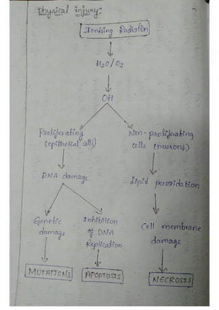 CELL INJURY - Pathogenesis & morphology.pdf