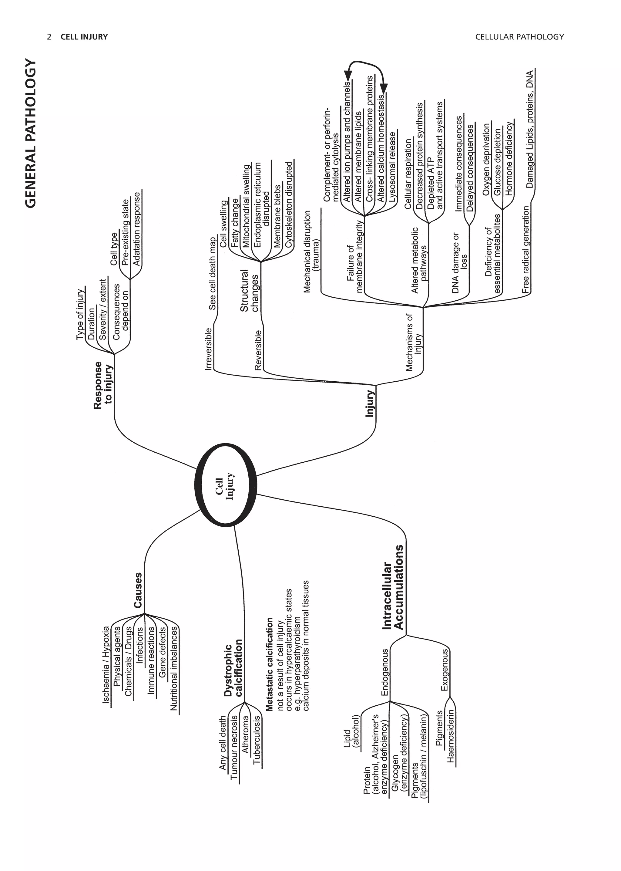 Cell injury pathology mind map | PDF