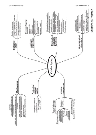 Cell injury pathology mind map | PDF