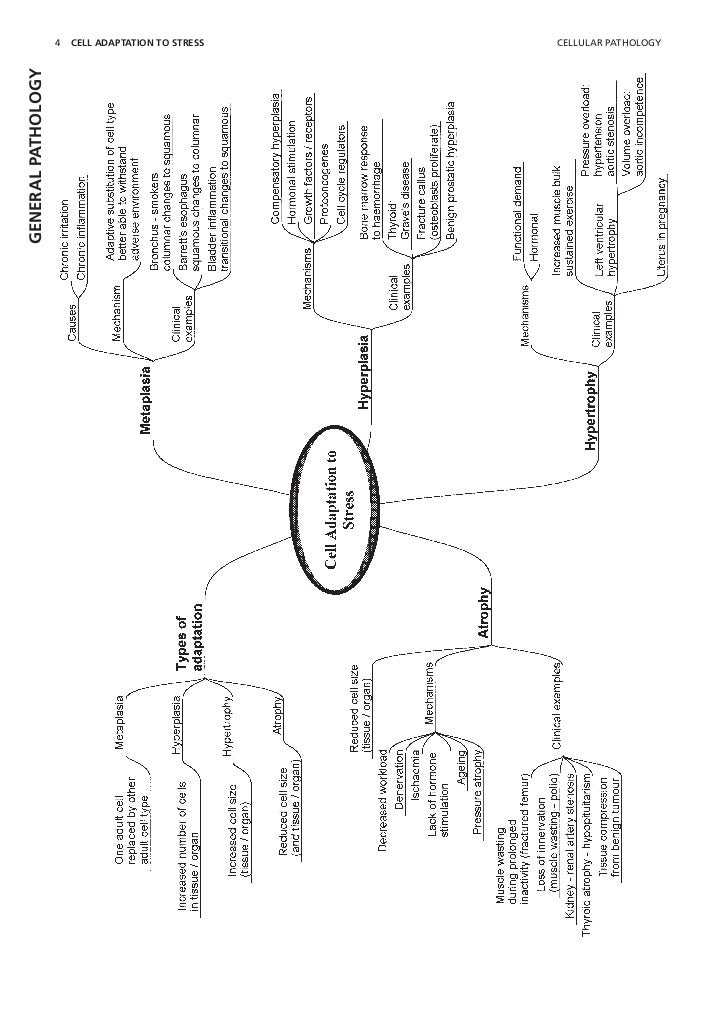 Cell injury pathology mind map