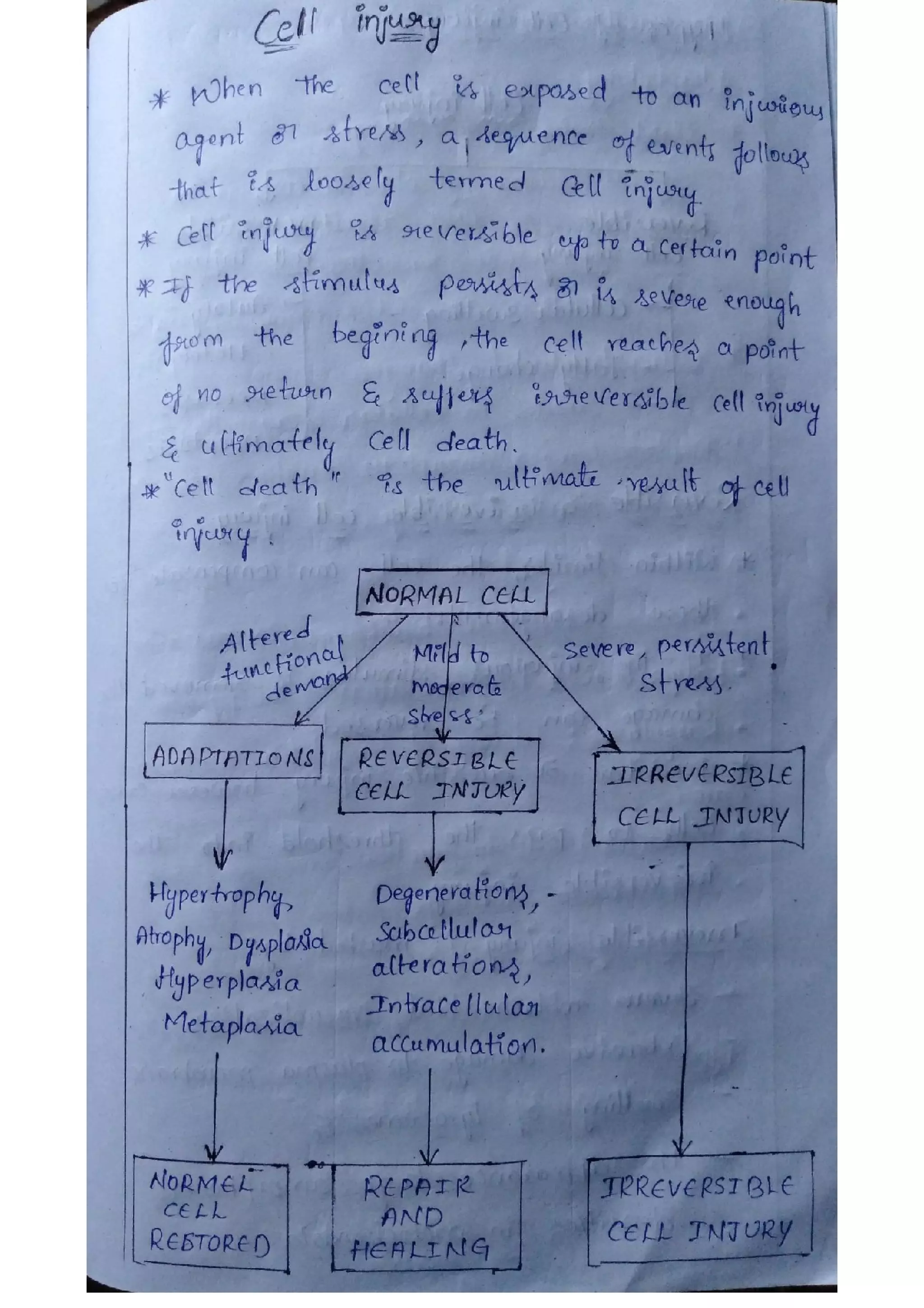 CELL INJURY - Types, Mechanism,Causes...pdf