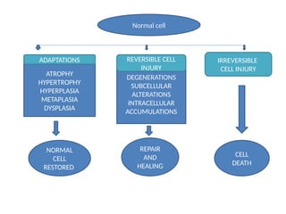 CELL INJURY and Adaptation with its types and examples | PPTX