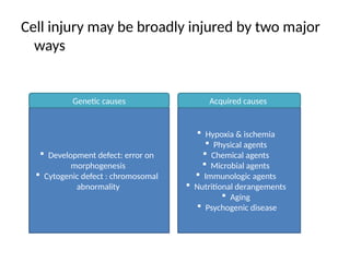 CELL INJURY and Adaptation with its types and examples | PPTX