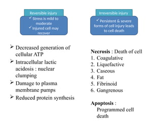 CELL INJURY and Adaptation with its types and examples | PPTX