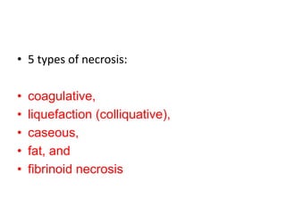 NECROSIS & APOTOSIS by Dr. Roopam Jain | PPTX