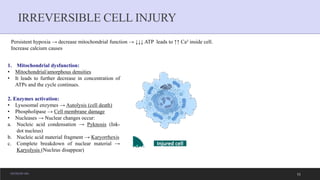 Pathology Cell Injury and cell adaptation | PDF