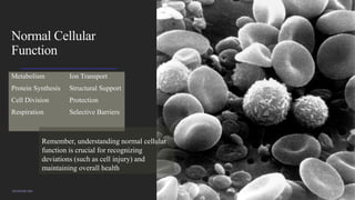 Pathology Cell Injury and cell adaptation | PDF