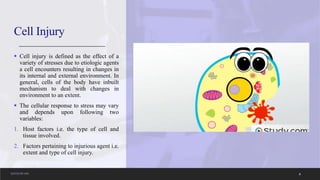 Pathology Cell Injury and cell adaptation | PDF