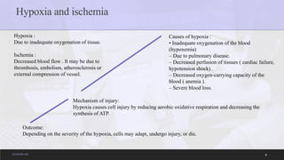 Pathology Cell Injury and cell adaptation | PDF