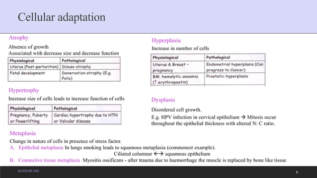 Pathology Cell Injury and cell adaptation | PDF