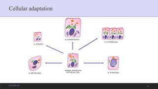 Pathology Cell Injury and cell adaptation | PDF