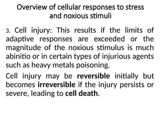 CELL INJURY MBBS YEAR 4 PATHOLOGY 1 .pptx | Diseases and Conditions ...