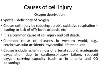 CELL INJURY MBBS YEAR 4 PATHOLOGY 1 .pptx