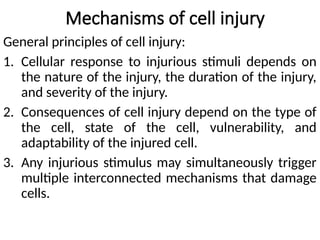 CELL INJURY MBBS YEAR 4 PATHOLOGY 1 .pptx