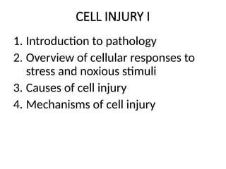 CELL INJURY MBBS YEAR 4 PATHOLOGY 1 .pptx | Diseases and Conditions ...
