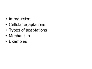 Cell injury: CELL ADAPTATIONS | PPT