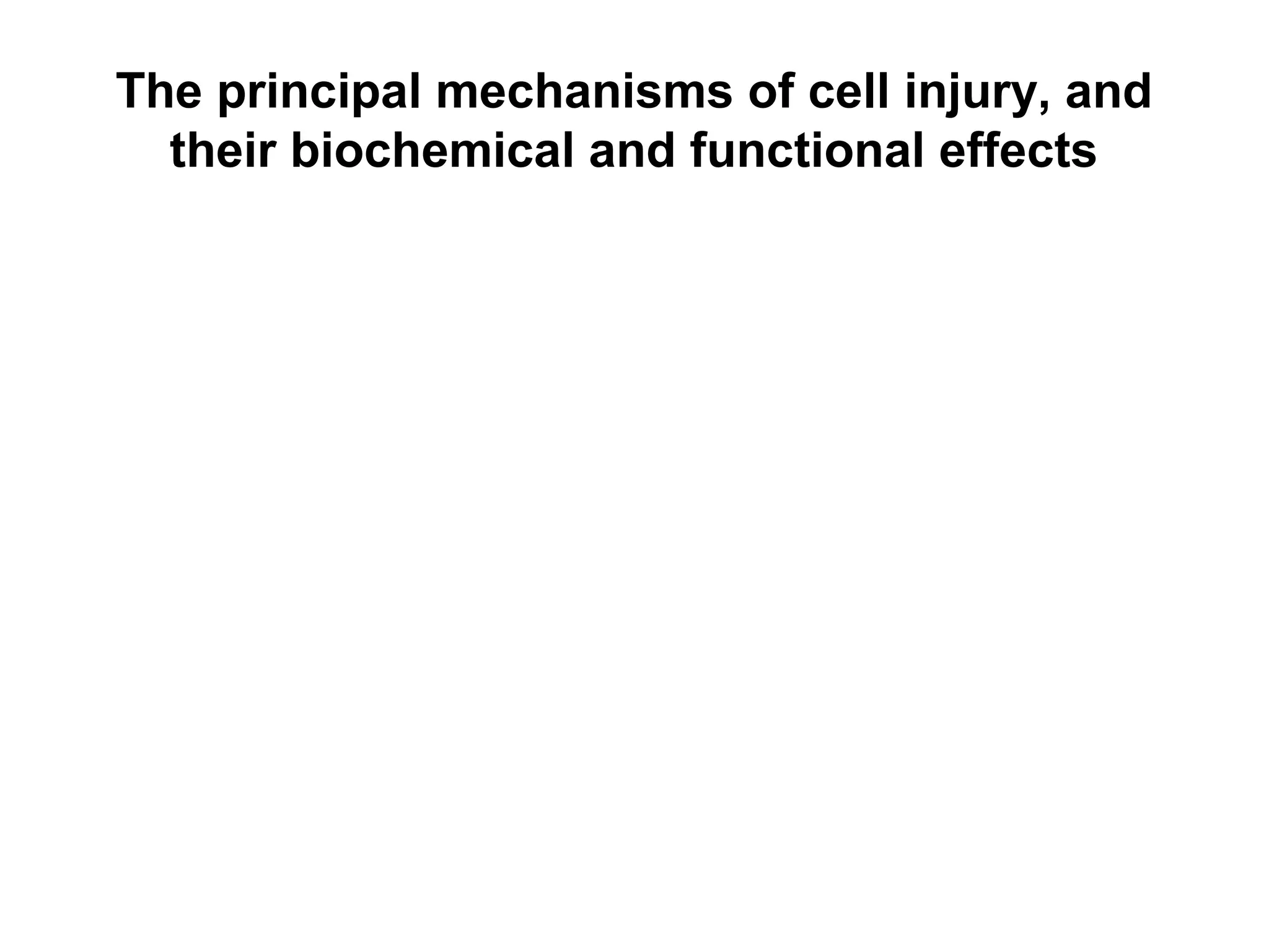 Cell injury: causes, pathogenesis, Morphology of reversible cell injury ...