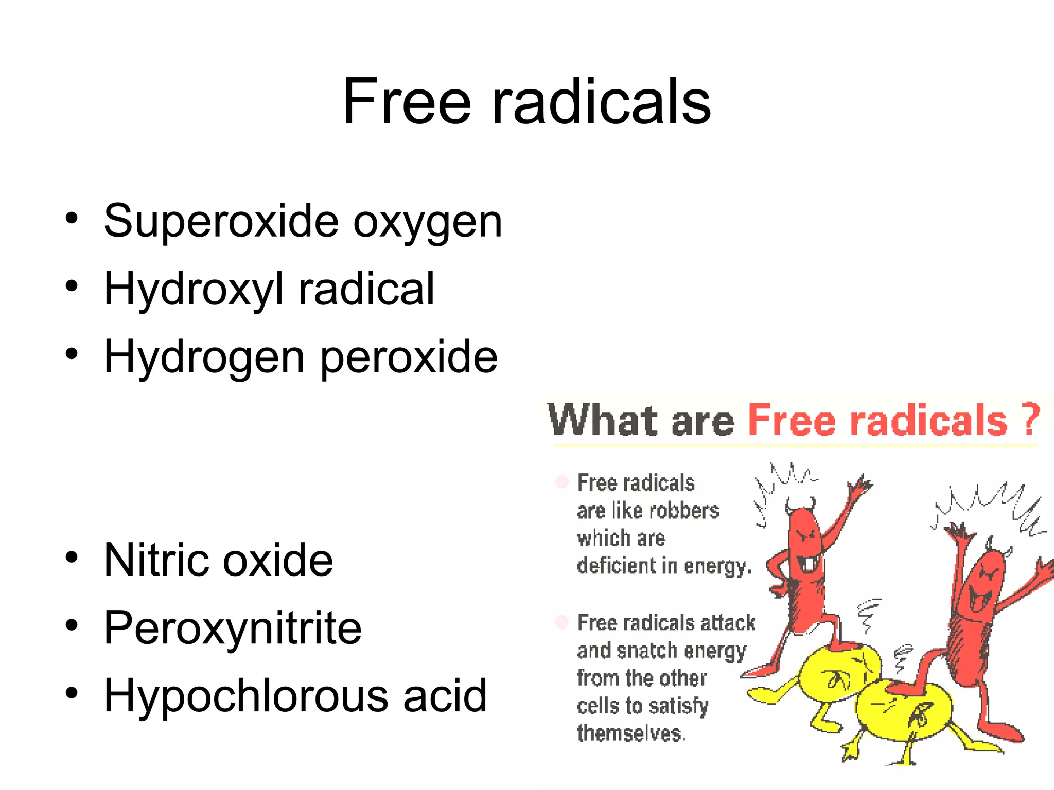 Cell injury: causes, pathogenesis, Morphology of reversible cell injury ...