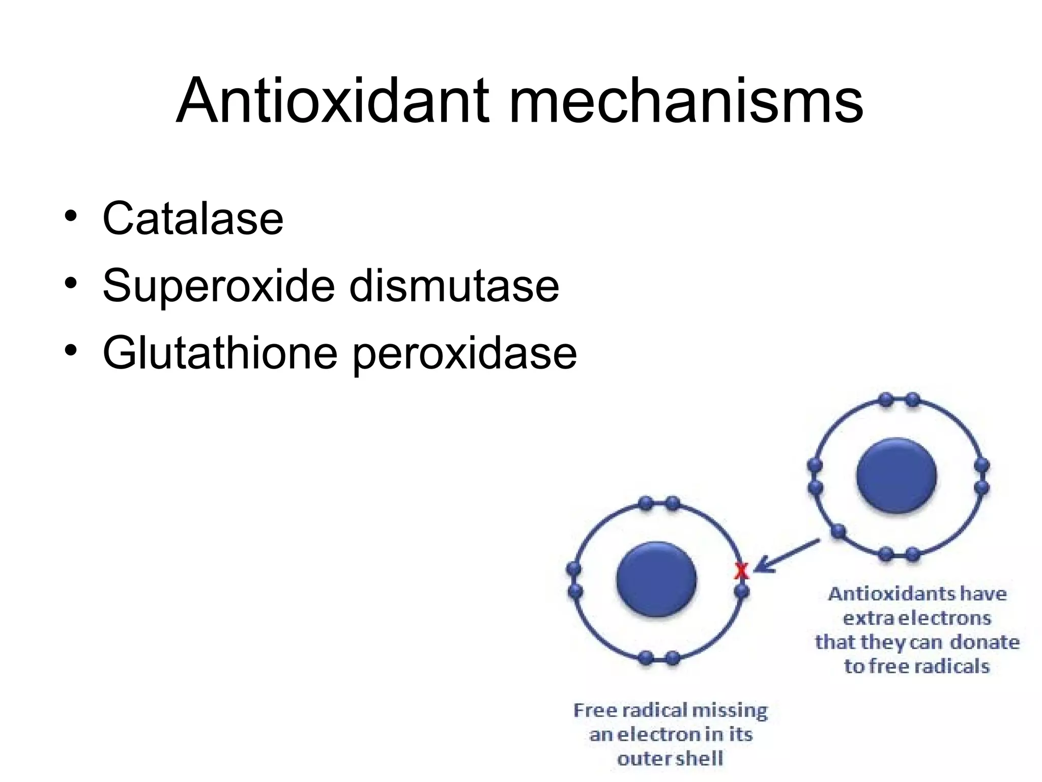 Cell injury: causes, pathogenesis, Morphology of reversible cell injury ...
