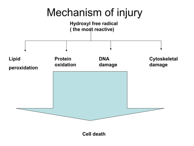 Cell injury: causes, pathogenesis, Morphology of reversible cell injury ...