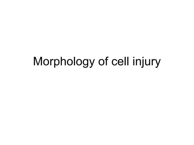 Cell injury: causes, pathogenesis, Morphology of reversible cell injury ...
