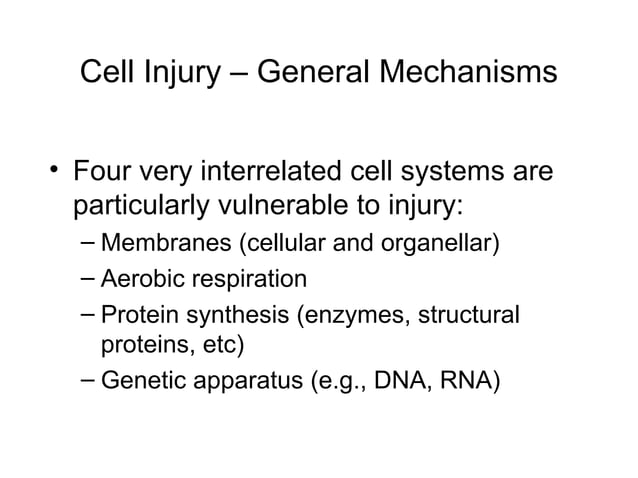 Cell injury: causes, pathogenesis, Morphology of reversible cell injury ...