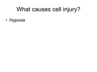 Cell injury: causes, pathogenesis, Morphology of reversible cell injury ...