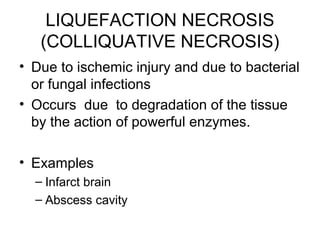 Cell injury: Necrosis and Gangrene | PPT