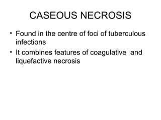 Cell injury: Necrosis and Gangrene | PPT