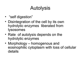 Cell injury: Necrosis and Gangrene | PPT
