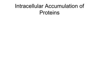 Cell injury : Intracellular accumulations | PPTX