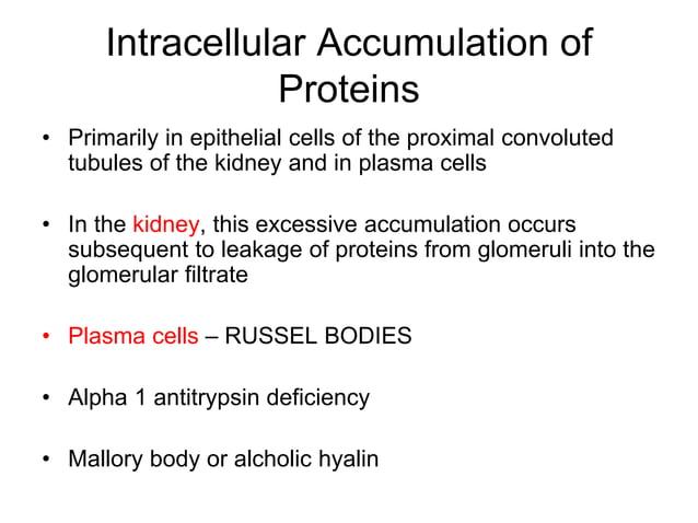 Cell injury : Intracellular accumulations | PPTX | Endocrine and ...