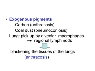 Cell injury : Intracellular accumulations | PPTX