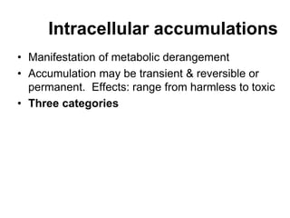 Cell injury : Intracellular accumulations | PPTX