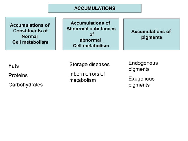Cell injury : Intracellular accumulations | PPTX | Endocrine and ...